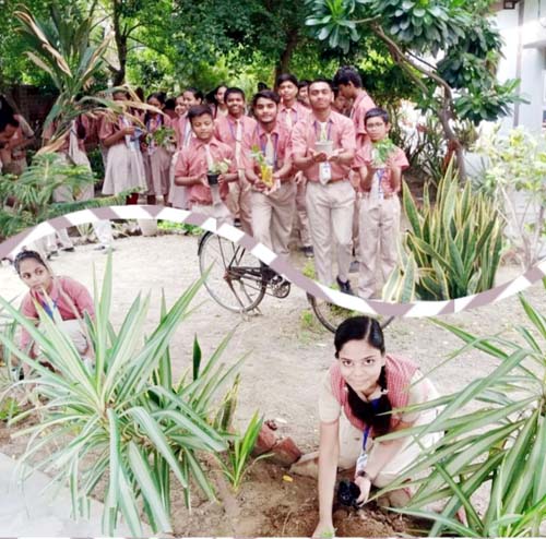 गौतम पब्लिक सीनियर सेकेंडरी स्कूल में मनाया गया पर्यावरण दिवस - UdayBhoomi