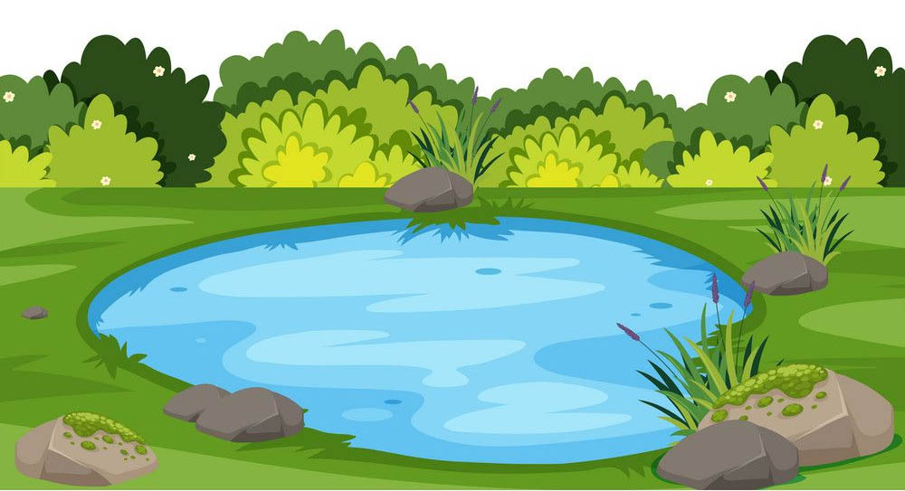 औद्योगिक विकास के साथ पर्यावरण संरक्षण में जुटा यमुना प्राधिकरण सीईओ डॉ. अरुणवीर सिंह ने 116 ...